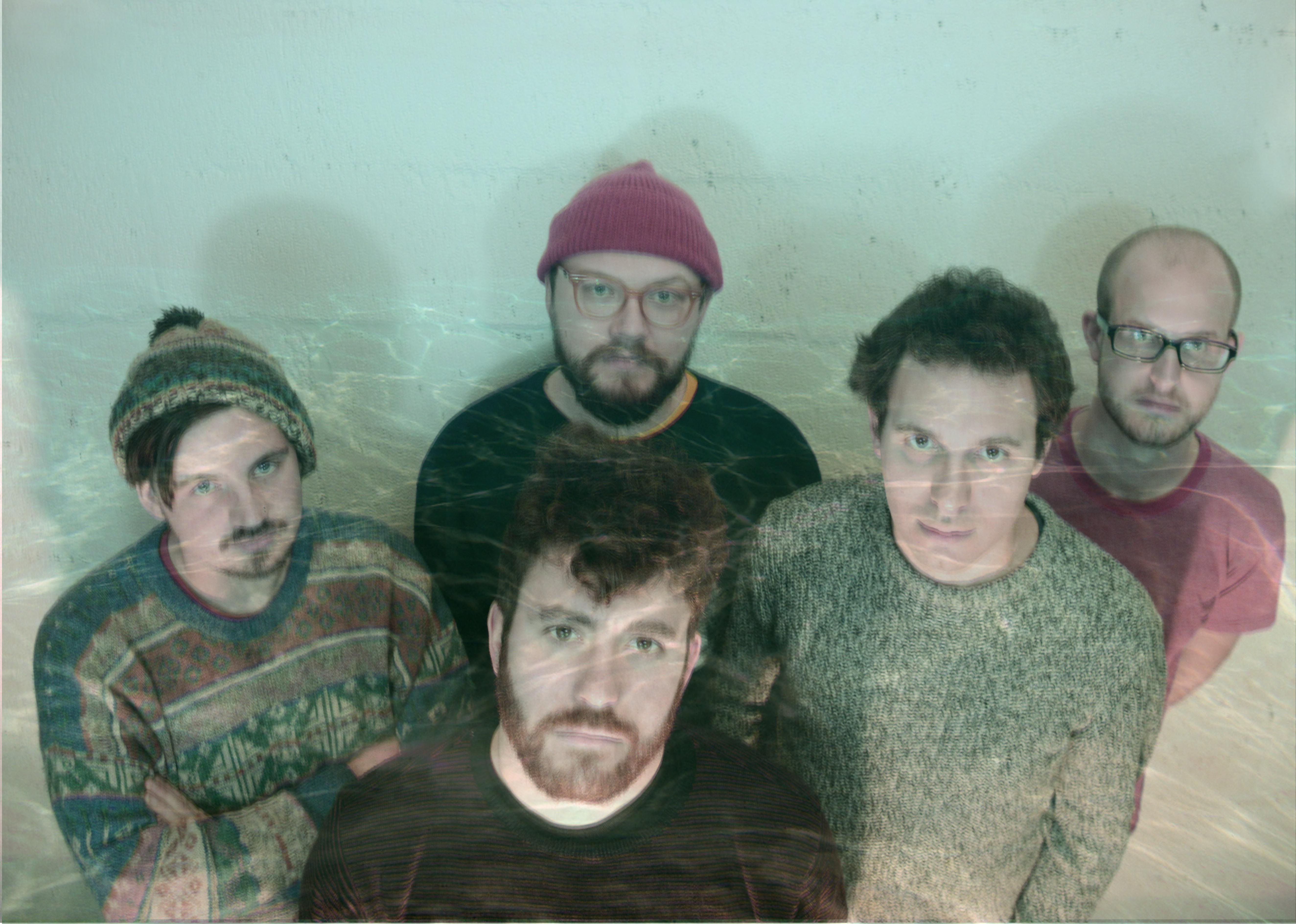 Audio Premiere: Octopuses - "Not The Bees" EP | Wonderland