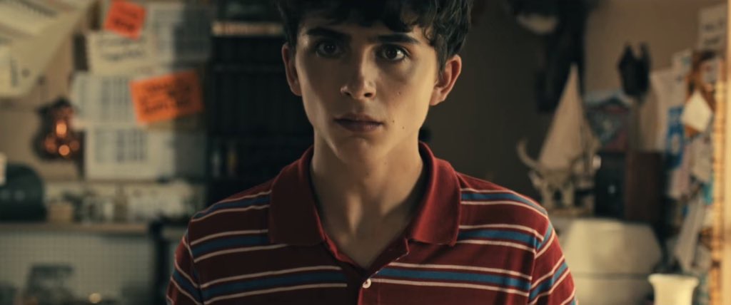 Timothée Chala-meme | Wonderland Magazine