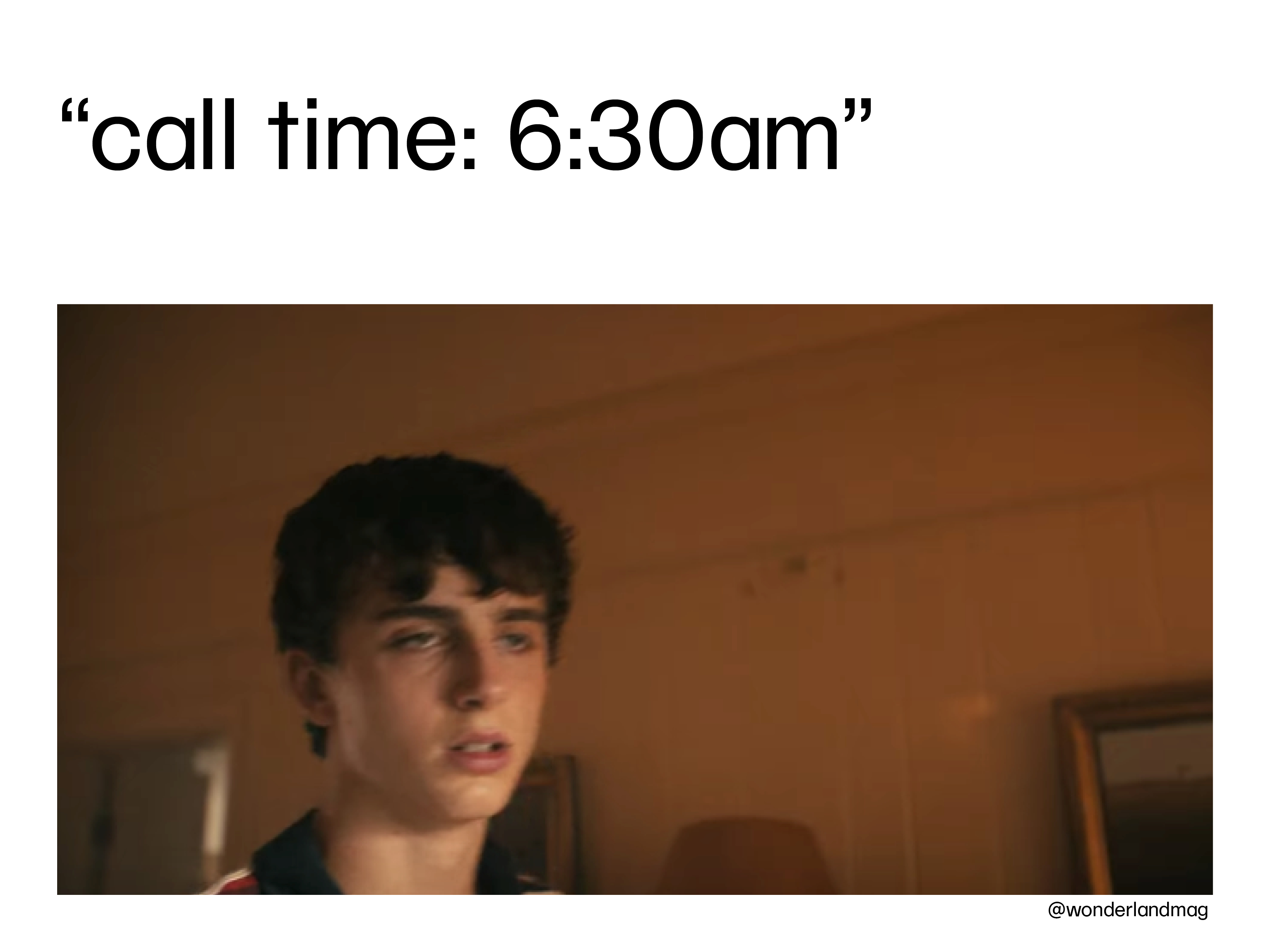 Timothée Chala-meme | Wonderland Magazine