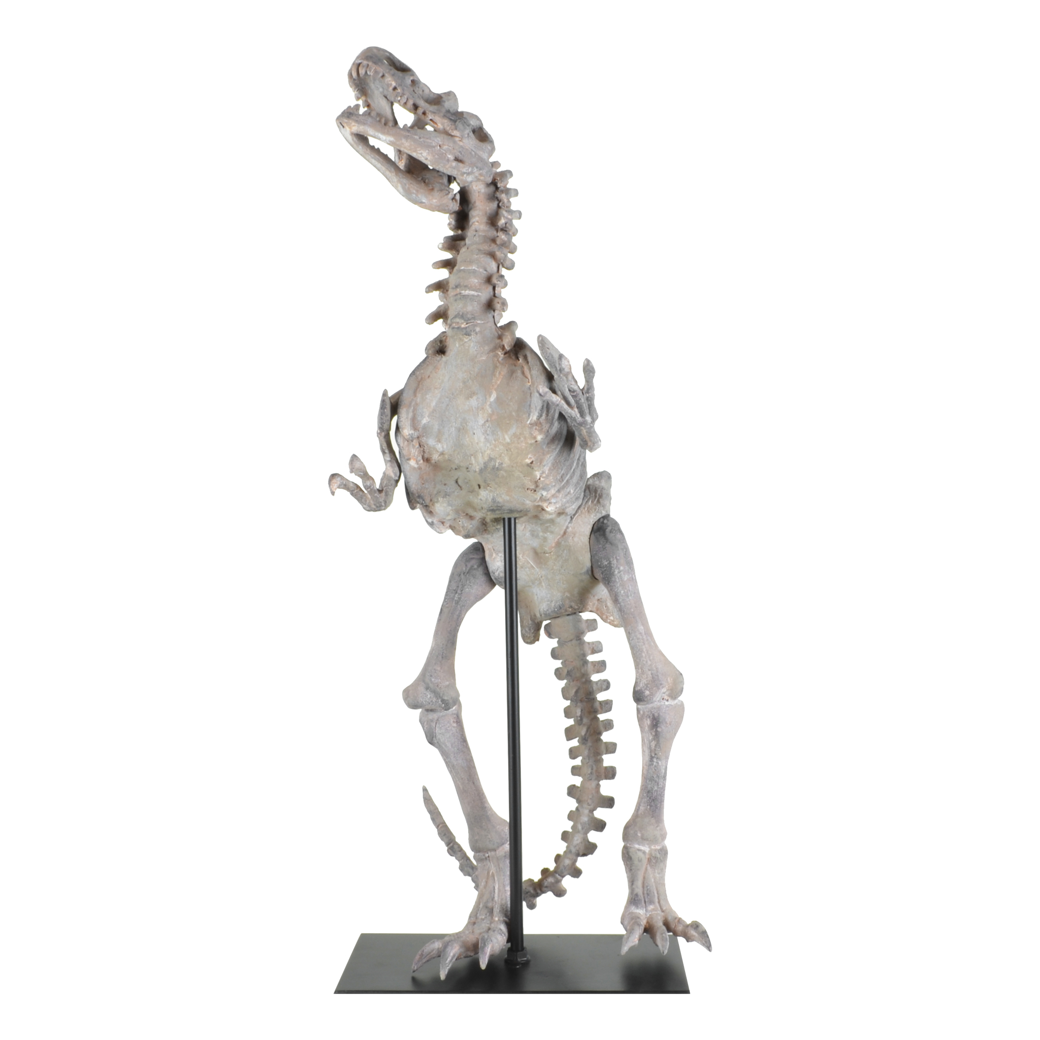 5mm Design Store | Wonderland Magazine