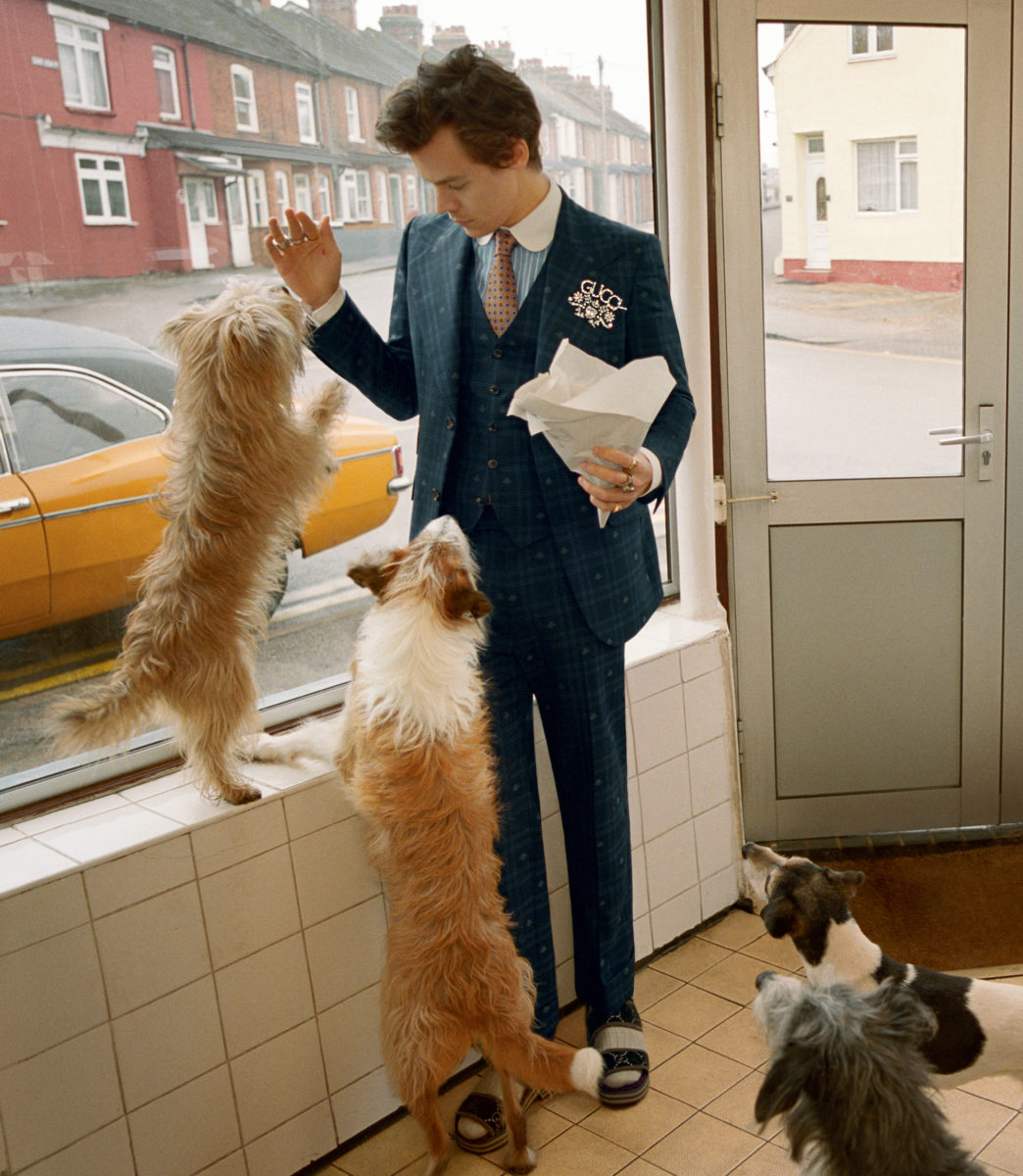 Harry Styles x Gucci | Wonderland Magazine