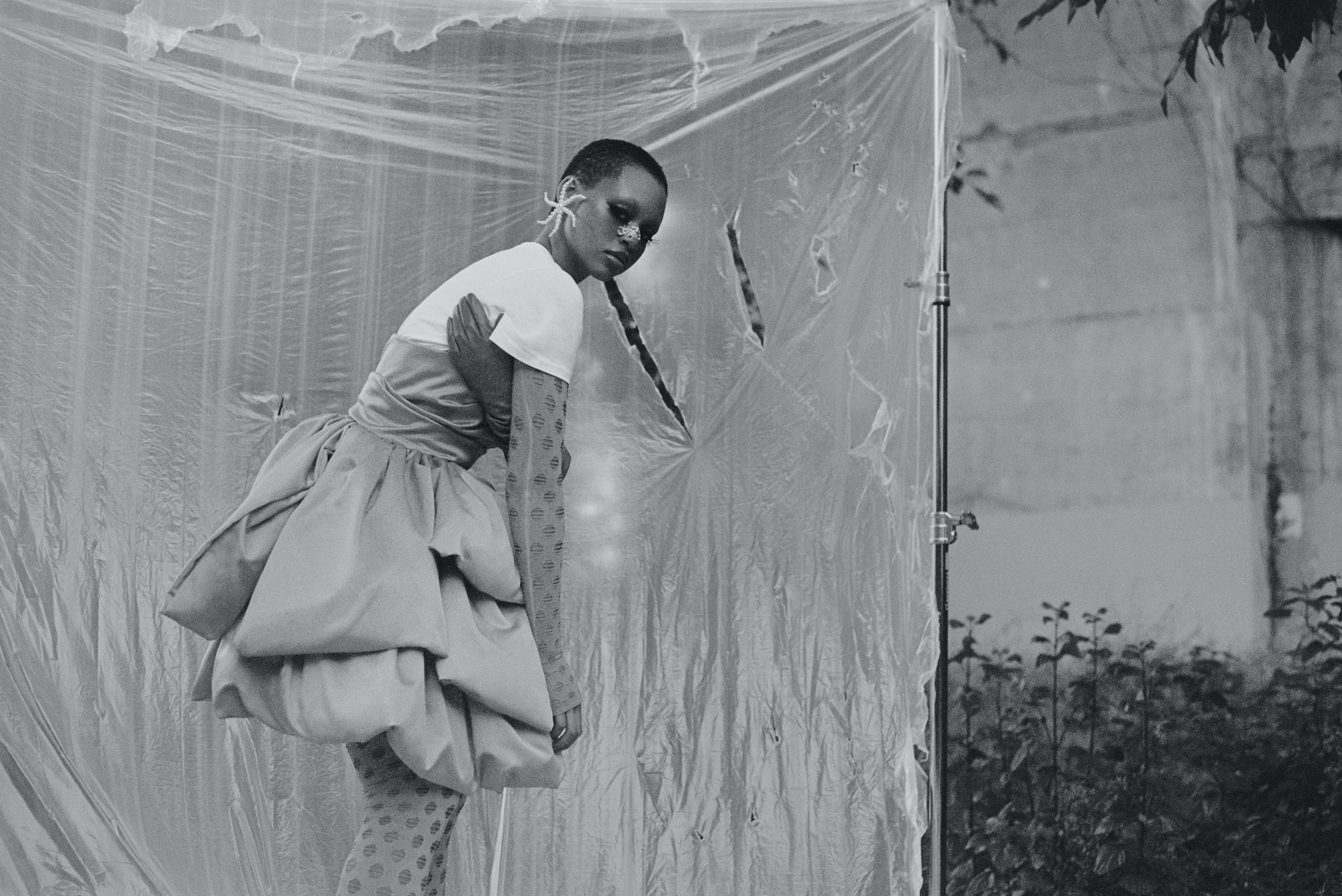 Fitz-5BW – Wonderland