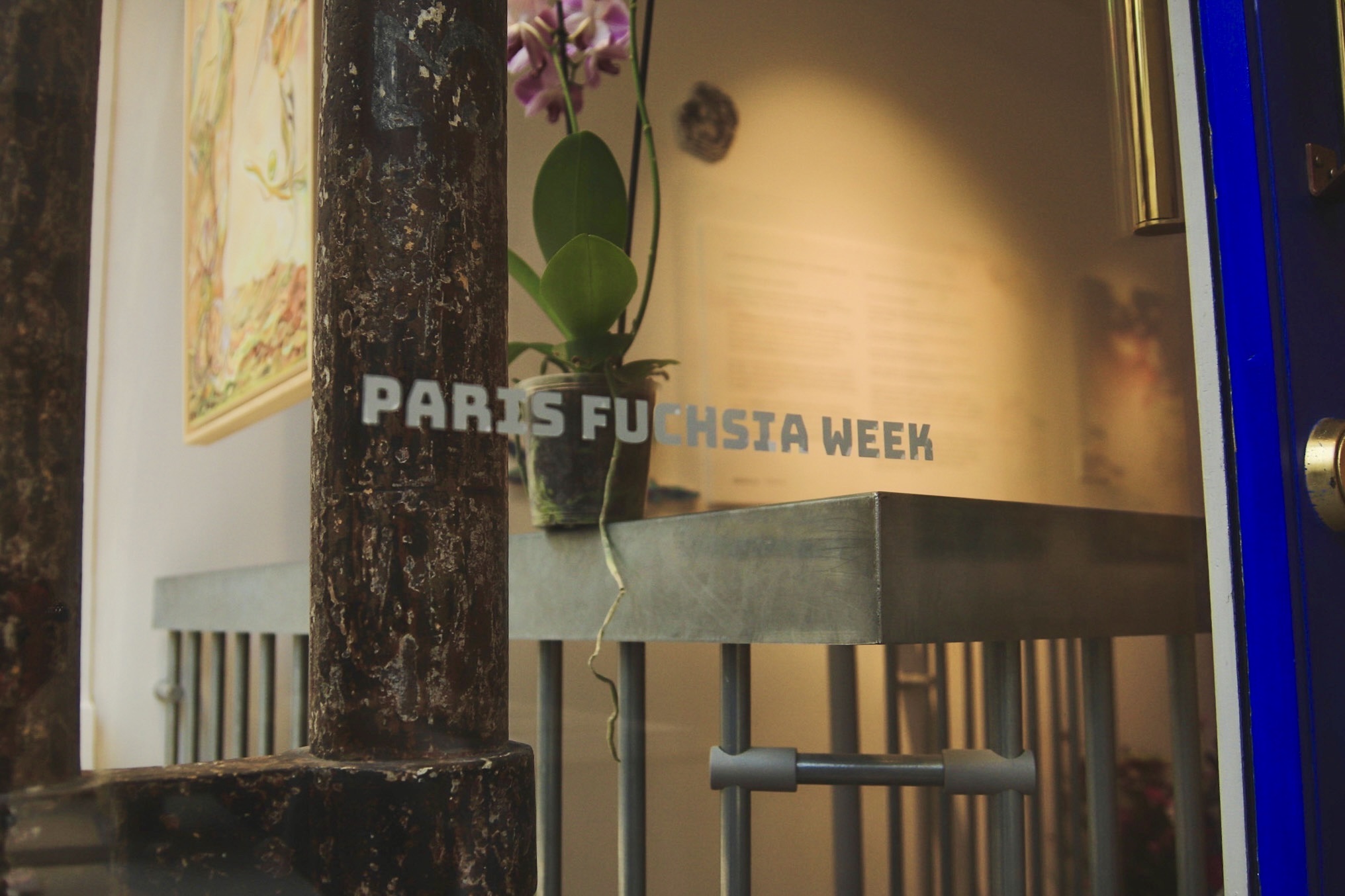 Multi-media Artist, fuchsia, Launches Paris fushsia Week