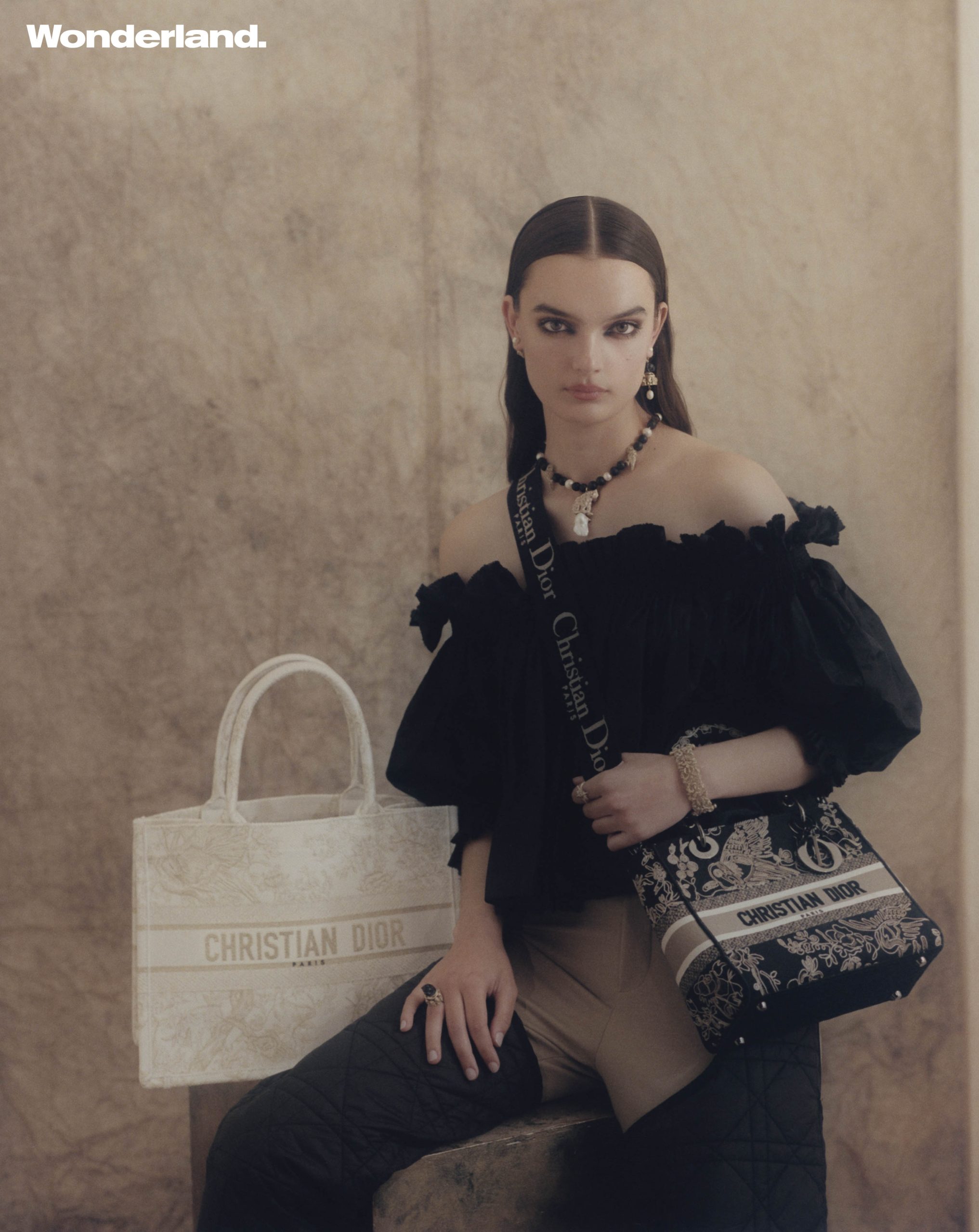 Discover Dior's Icon Accessories Collection