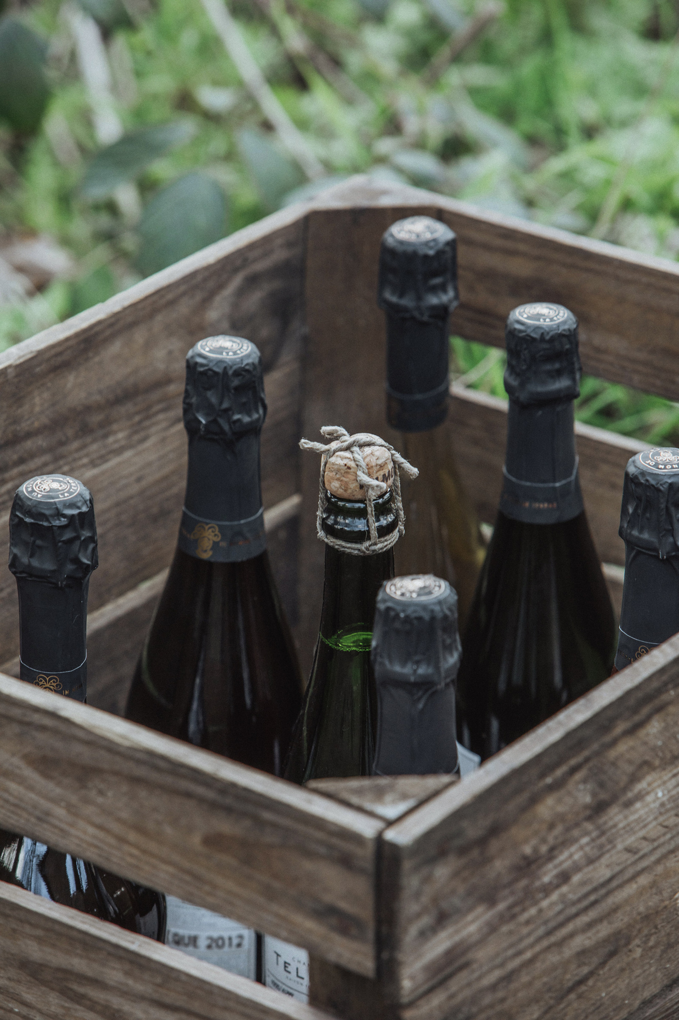 The Telmont Champagne House's Lightest Bottle
