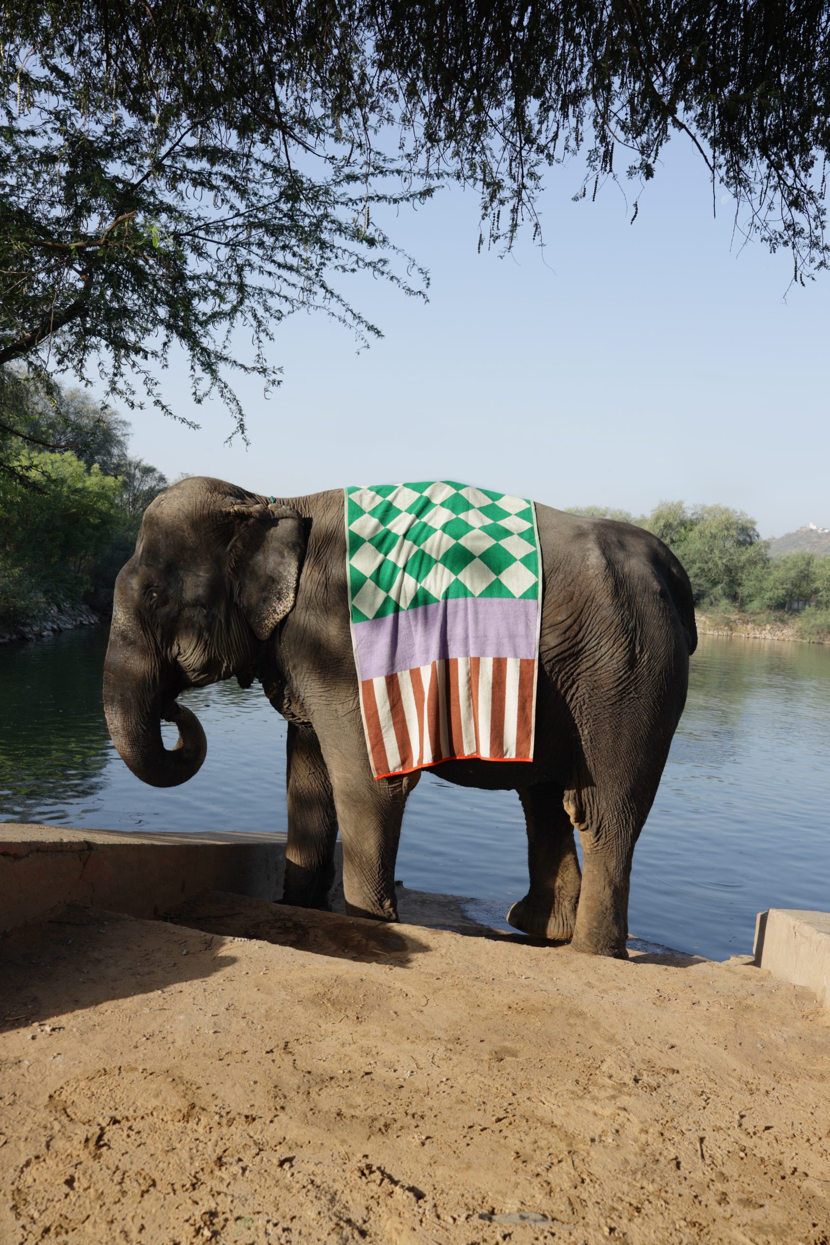 OOKIOH: A Sustainable Swimwear Brand