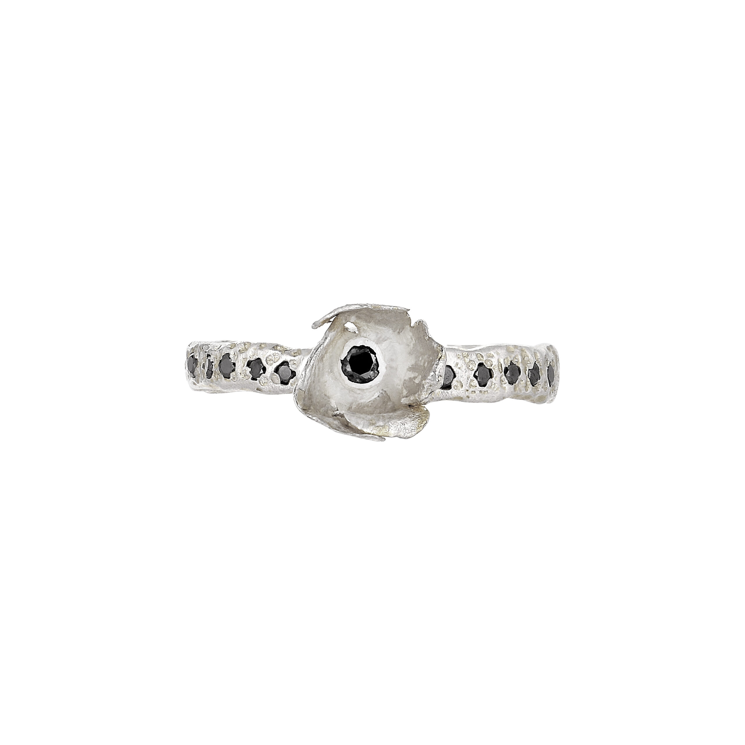 The Elhanati x Conie Vallese Collection