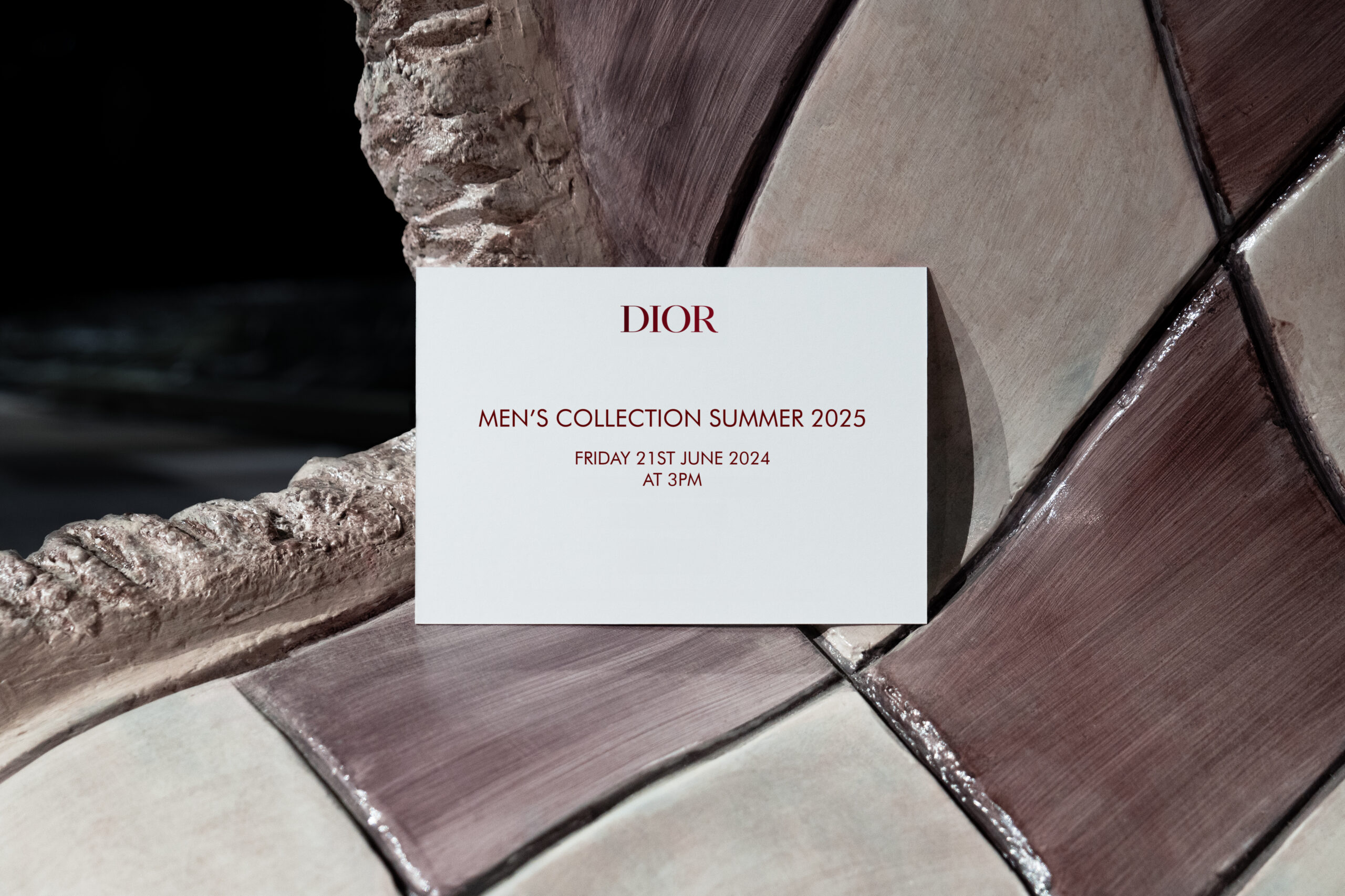 Livestream Dior Men's 2025