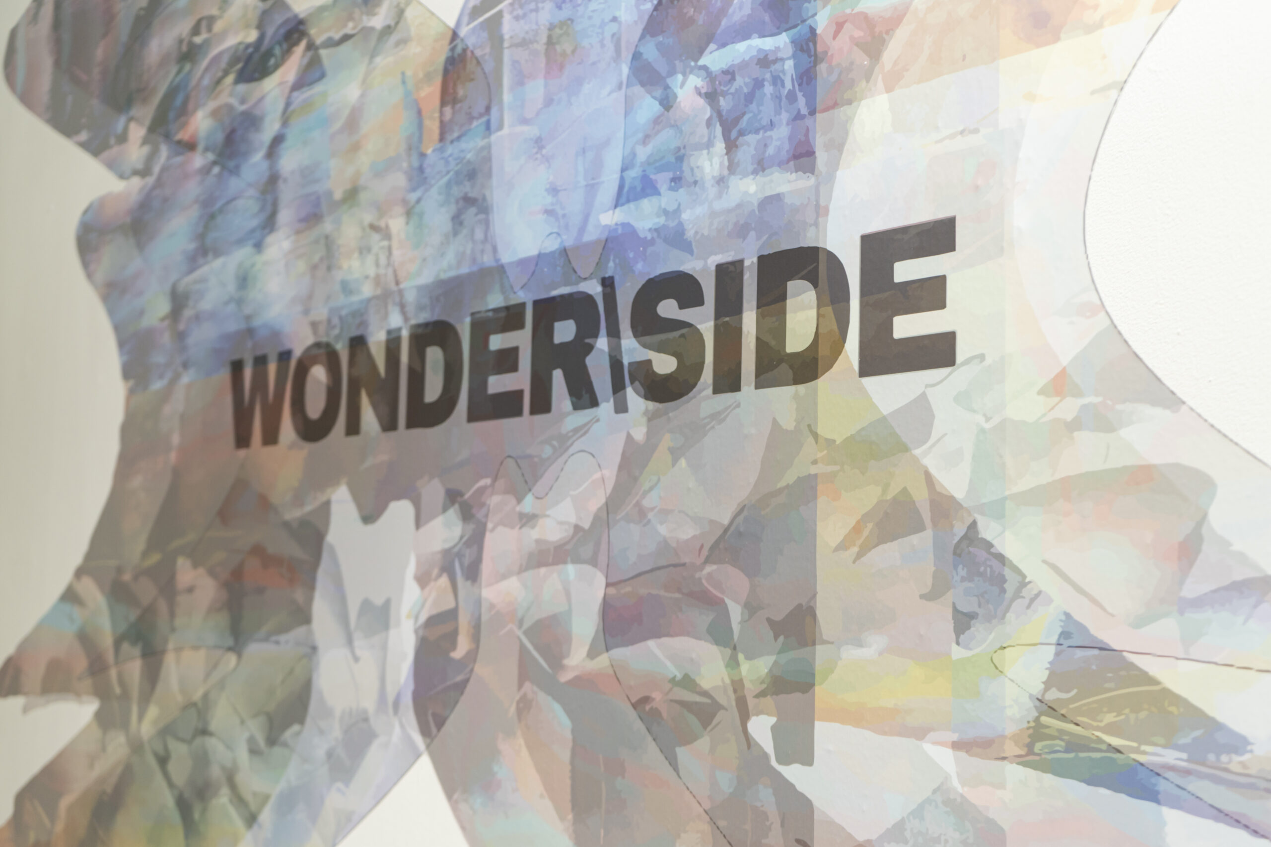 Indra Gallery x WONDERSIDE