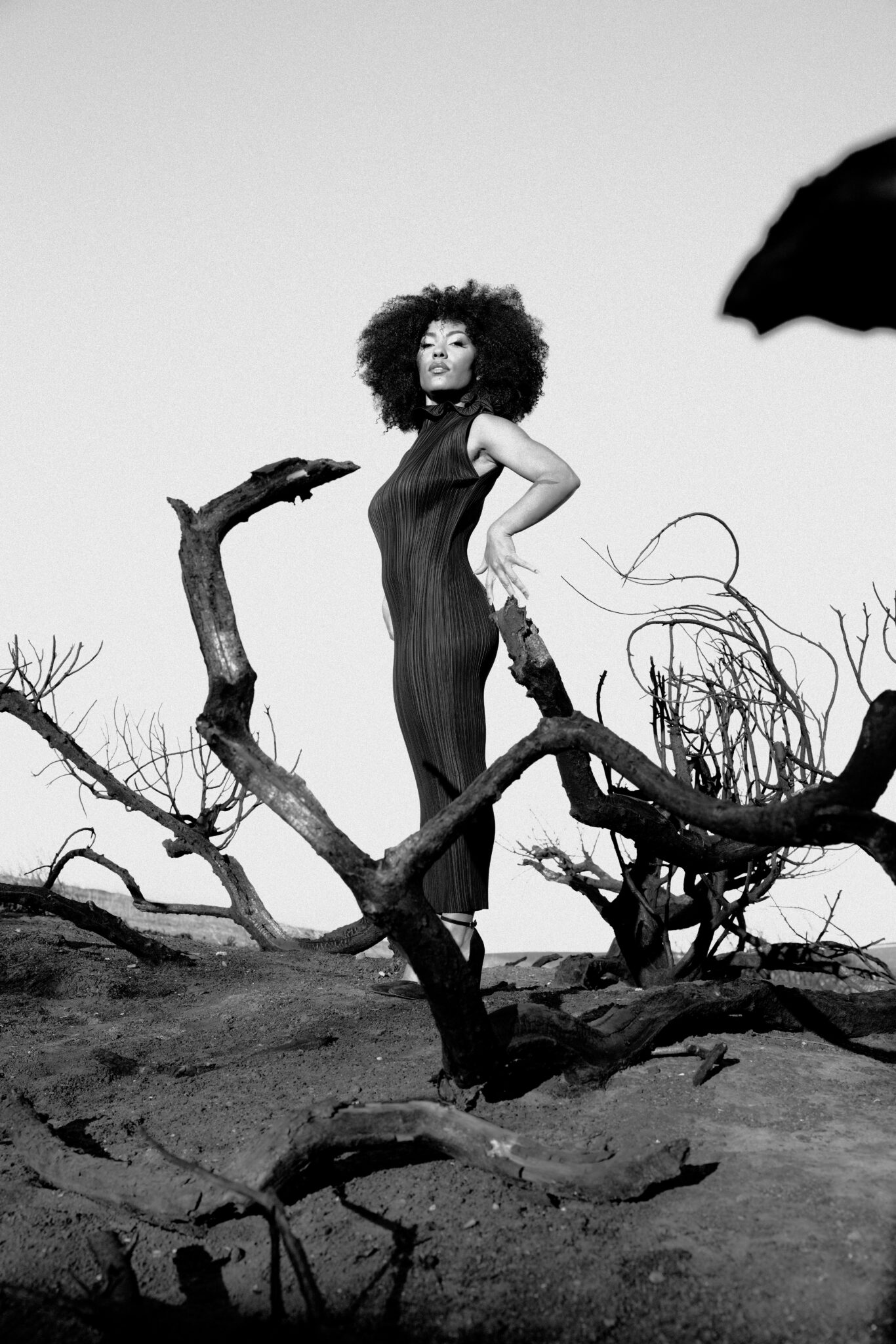 Madison McFerrin On Brilliant New Record, SCORPIO